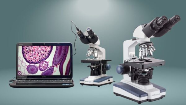 AmScope B120 Series LED Binocular Compound Microscope Review: Features ...